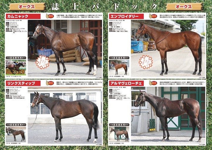 誌上パドック オークス (週刊Gallop) | dマガジン
