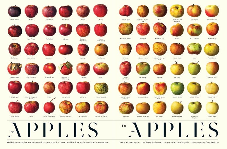 Apples to Apples (Food & Wine) | dマガジン